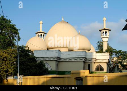 Thousand Lights is a multi-domed mosque in Anna Salai in Chennai, Tamil ...