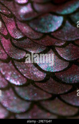 Mermaid tail pattern, close up. Sparkle spandex fish skin texture ...