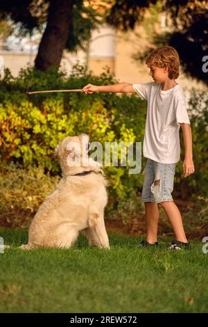 Preteen kid and golden retriever dog Stock Photo - Alamy