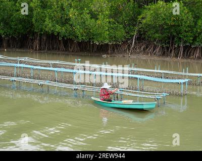 Oyster farm in the sea and beautiful sky sunset background , sun and ...