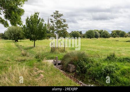 Harnham Water Meadows a Site of Special Scientific Interest, Salisbury ...