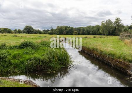 Harnham Water Meadows a Site of Special Scientific Interest, Salisbury ...