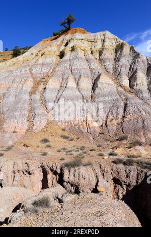 Badlands are a dry terrains formed with softer sedimentary rocks (clay ...