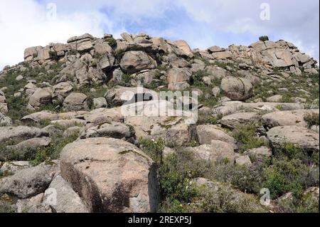 Berrocal or granite relief is a landscape formed by granite, an ...