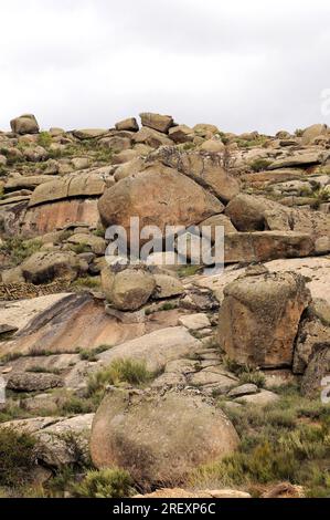 Berrocal or granite relief is a landscape formed by granite, an ...