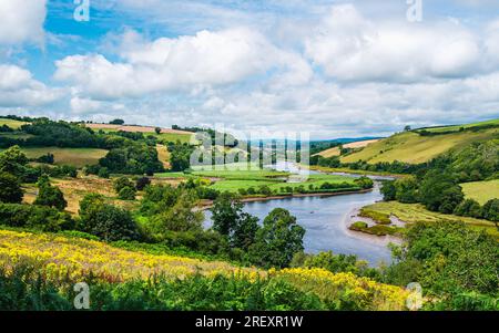 Sharpham Meadows and Marsh over River Dart from a drone, Totnes, Devon ...