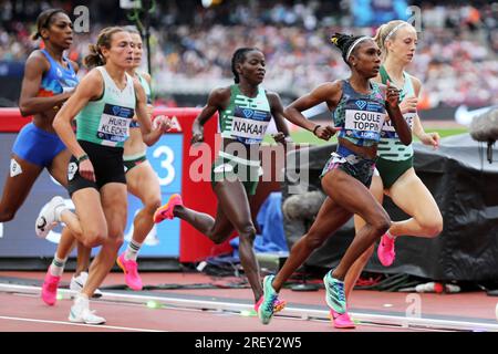 Running track lanes for athletes Stock Photo - Alamy