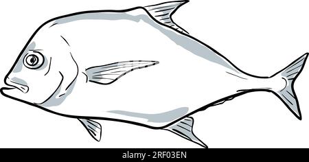 Illustration of African pompano, Alectis ciliaris, aka Pennant-Fish or ...