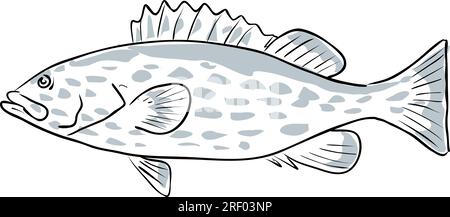 Yellowfin grouper Fish Gulf of Mexico Cartoon Drawing Stock Photo - Alamy