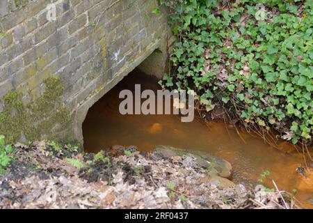 Dirty water in a ditch for water in a forest area. Environmental ...