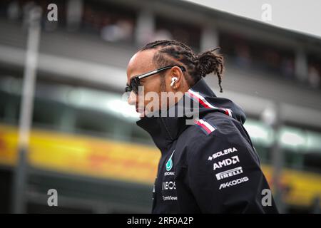 #44 Lewis Hamilton, (GRB) AMG Mercedes Ineos during the Italian GP ...