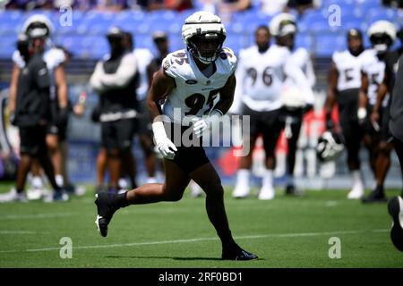 Baltimore Ravens linebacker Tavius Robinson (95) works out during the ...