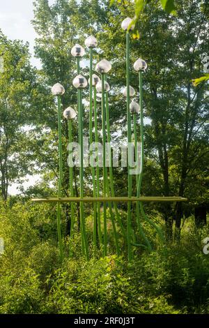 Public artwork in Osage Park by Griffin Loop, Launch Intention, 2019 ...