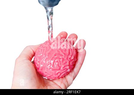 Human Brain under a Faucet Water Stream, Brainwashing Concept Stock ...