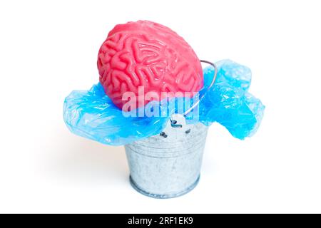 Anatomical replica of a human brain wrapped in a transparent blue trash ...