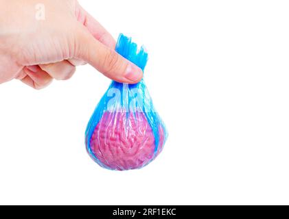 Anatomical replica of a human brain wrapped in a transparent blue trash ...