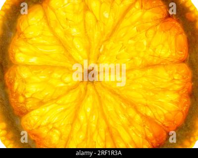 Macro of a backlit transparent orange slice showing the pulp detail ...