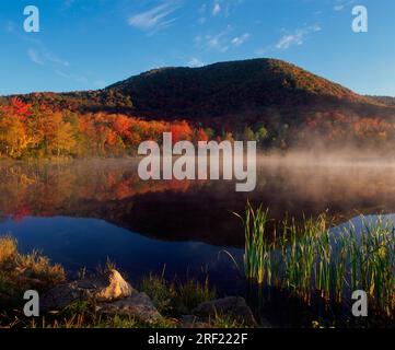 North America, USA, Vermont, Killington. Ski lift and alpine slide at ...
