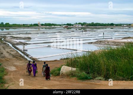 Salt pan in Thoothukudi Tuticorin, Tamil Nadu, South India, India, Asia ...