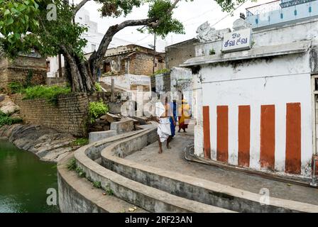 A temple priest in Lord Murugan Temple at Thiruttani Tiruttani Tirutani ...