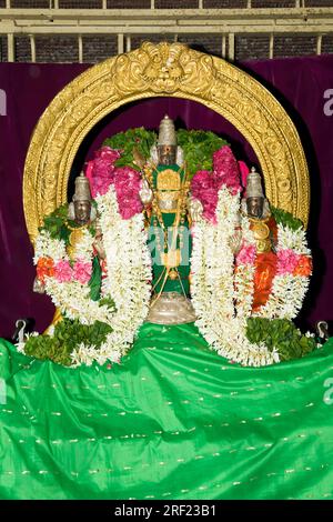 Decorated Urchava deity of Lord Murugan with with consorts Valli and ...
