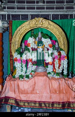 Decorated Urchava deity of Lord Murugan with with consorts Valli and ...