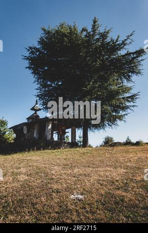 Ruins of the Ancient mystical old Hindu Prambanan temple near ...