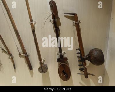 8. Sarangi from Koraput, 9. Banam from Mayurbhanj, 10. Memrai (Dhenka ...