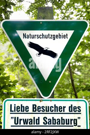 nature reserve sign Urwald Sababurg, Germany, Hesse, Reinhardswald ...