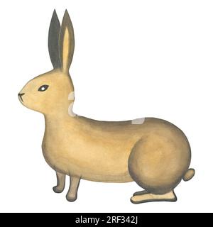 Watercolor illustration of a rabbit in medieval style. Made by hand ...
