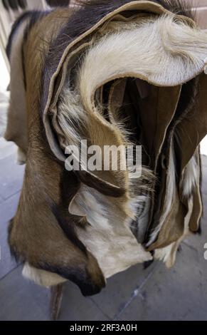 Animal skin detail, artisan tanning Stock Photo - Alamy