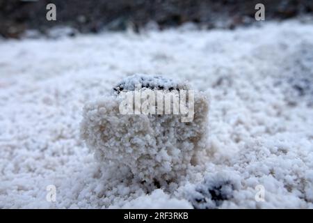 Geology and Geochemistry. Saline land, limestone evaporite, gypsum ...