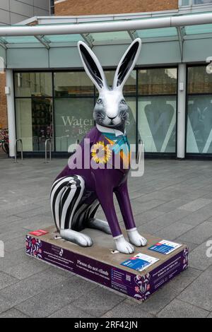 Hares of Hampshire Art trail Southampton England 2022, the Murray ...