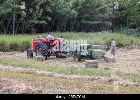 Baling hay in rural Spain, June 2023 Stock Photo - Alamy