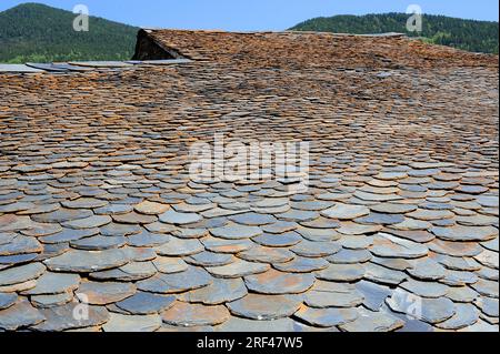 Roof shale. Shale is a fissile compacted sedimentary rock. This photo ...