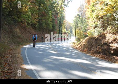 Over 60 Sports Stock Photo - Alamy