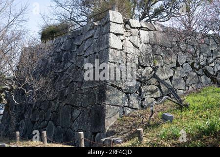 Fukuoka, Japan. 11th Mar, 2023. Views of the Fukuoka Castle Ruins (ç ...
