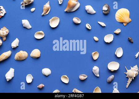 Frame of beautiful different seashells on a blue background. Mollusk ...
