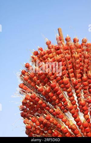 closeup of ice-sugar gourd, in the blue sky Stock Photo - Alamy