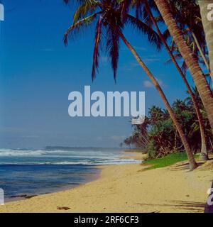 Hikkaduwa beach, Southern Province, Sri Lanka Stock Photo - Alamy