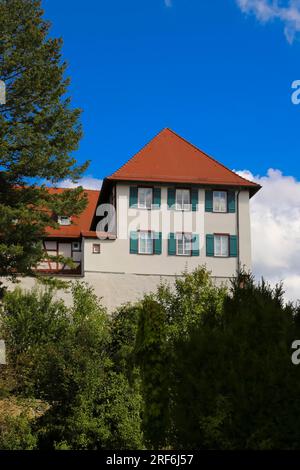 Gomaringen Castle, windows, green shutters, former parish residence of ...