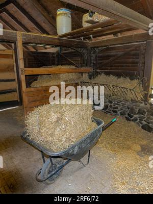 Wheelbarrow loaded with stable hay in front of equestrian ranch ...
