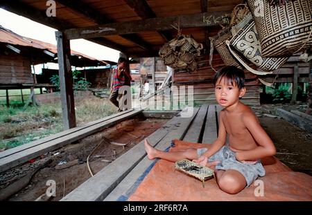 Punan Child, Sarawak, Gunung Mulu National Park, Borneo, Malaysia Stock ...