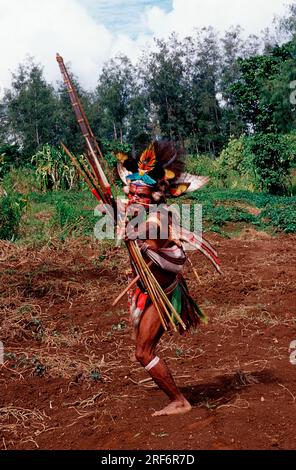 Huli wig man, Tari, Huli wig man, Papua New Guinea Stock Photo - Alamy