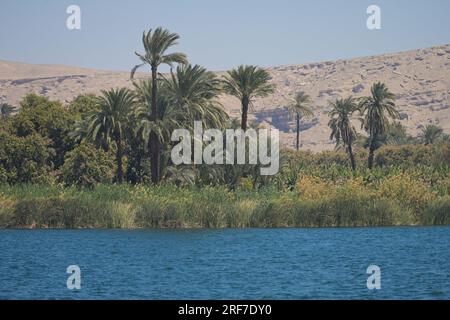 Nil, Landschaft südlich Luxor, Ägypten Stock Photo - Alamy