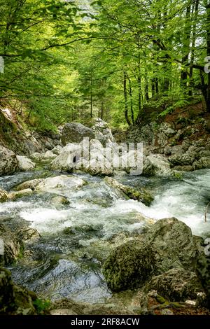 rapids in small river between and rocks in a forest Stock Photo - Alamy