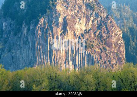 Beacon rock stands above the Columbia River in Washington State Stock ...