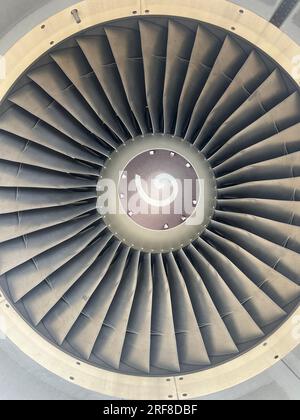 Fan blades of a neo engine of an airbus a320. The blades are made from ...
