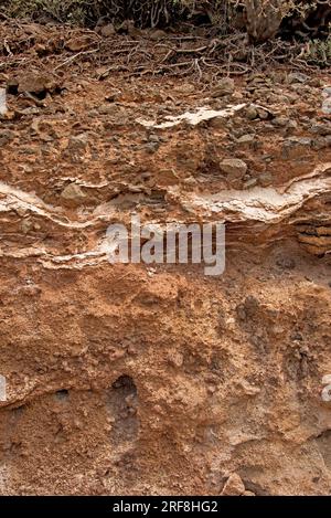 Caliche, calcrete, duricrust or hardpan is a calcium carbonate cement ...