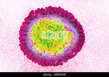 Influenza virus of the Orthomyxoviridae family (respiratory viral ...